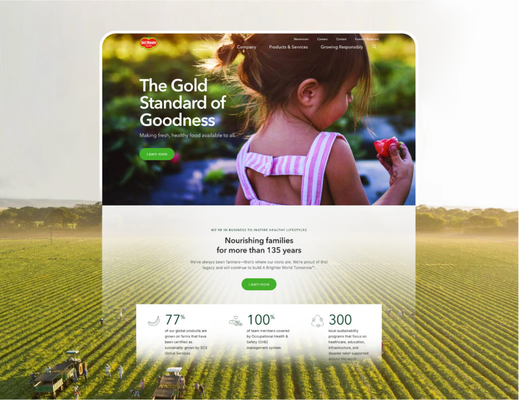 Award Winning Web Design Agency | 500 Designs