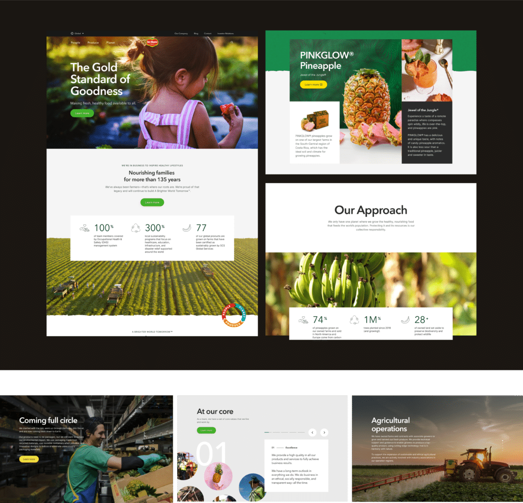 Fresh Del Monte | Web Design Portfolio | 500 Designs